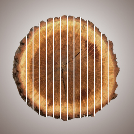 What is Plain Sawn? Quarter Sawn? Rift Sawn? – CPSW BLOG